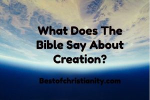 What Does The Bible Say About Creation?