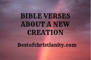 100 Bible Verses About New Creation In Christ – MOLYW