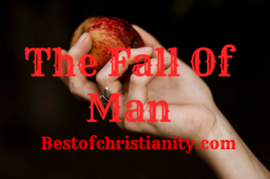 The Fall Of Man