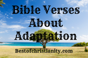 Bible Verses About Adaptation | BEST OF CHRISTIANITY