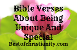 Bible Verses About Being Unique And Special