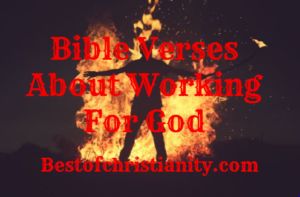 Bible Verses About Working For God