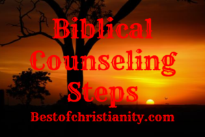 Biblical Counseling Steps