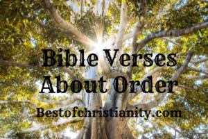 Bible Verses About Order